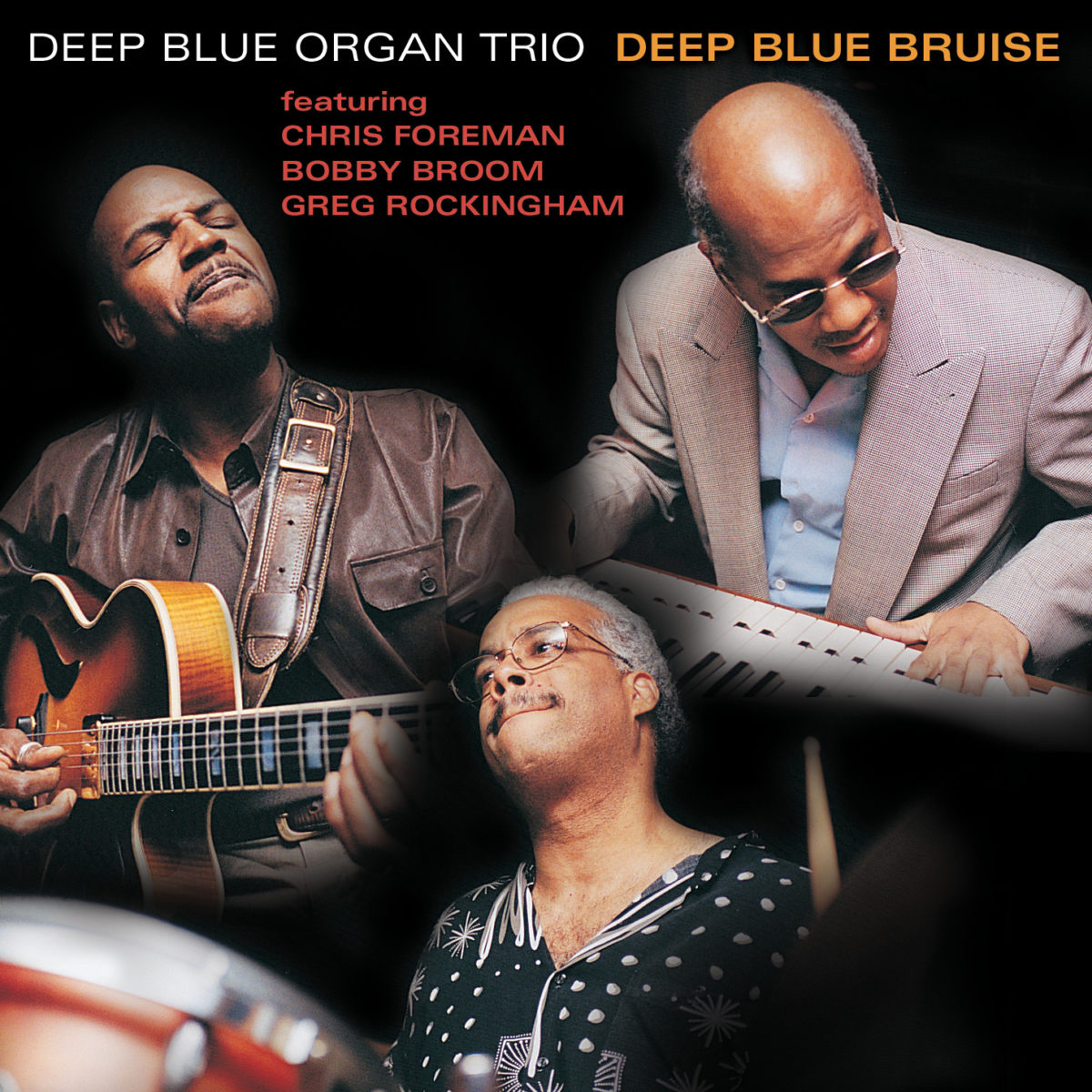 Deep Blue Organ Trio – Deep Blue Bruise – DELMARK RECORDS